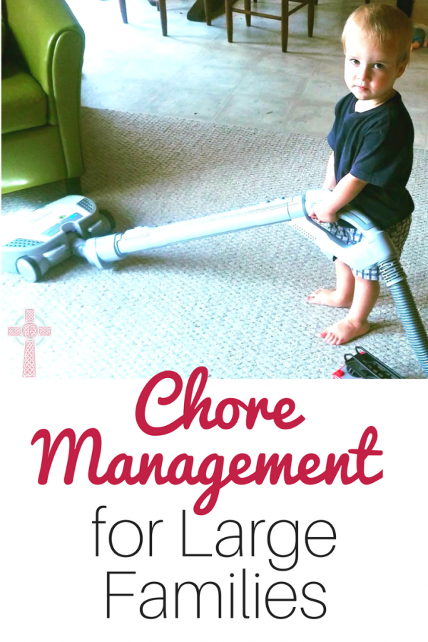 Managing Chores in a BIG Family with a Smart Phone App - The Kennedy ...