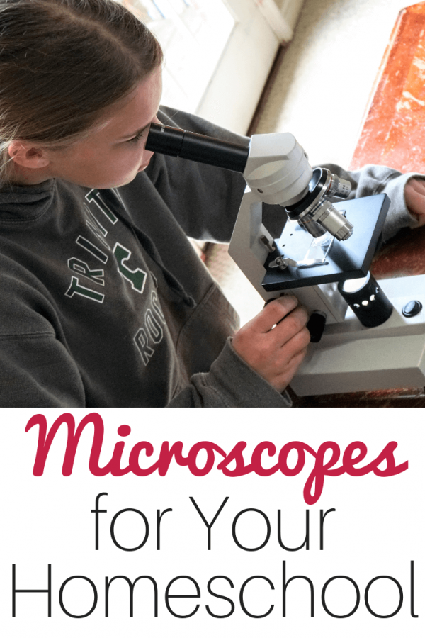 Simple Tips for Choosing a Homeschool Microscope - The Kennedy Adventures!