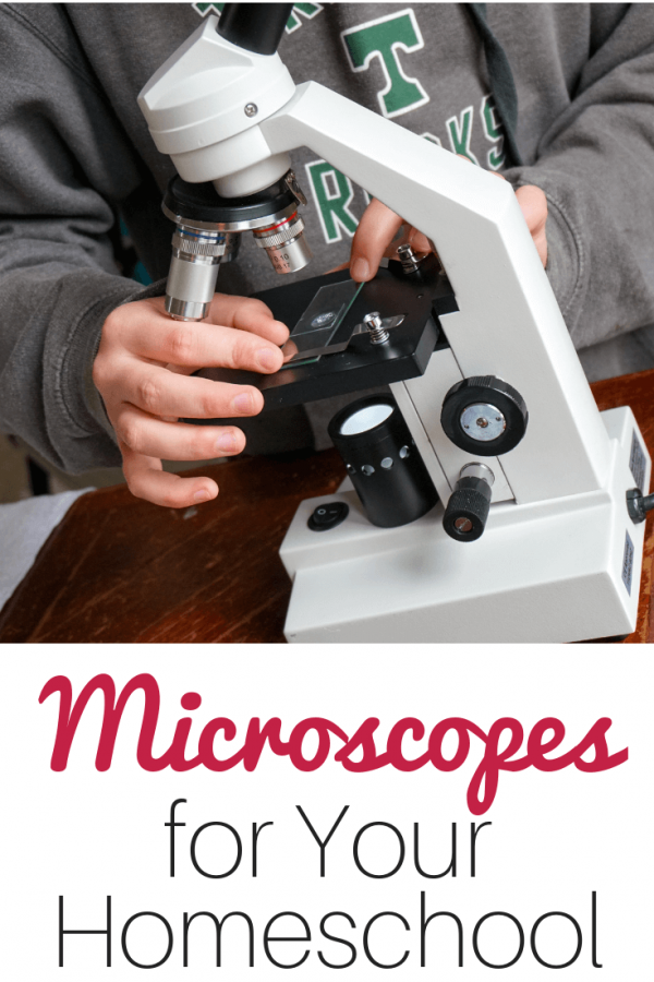Simple Tips for Choosing a Homeschool Microscope - The Kennedy Adventures!