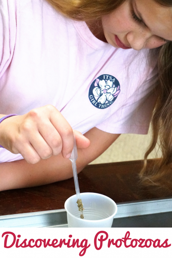 Don’t Drink the Protozoa from the Creek! More Homeschool Science ...