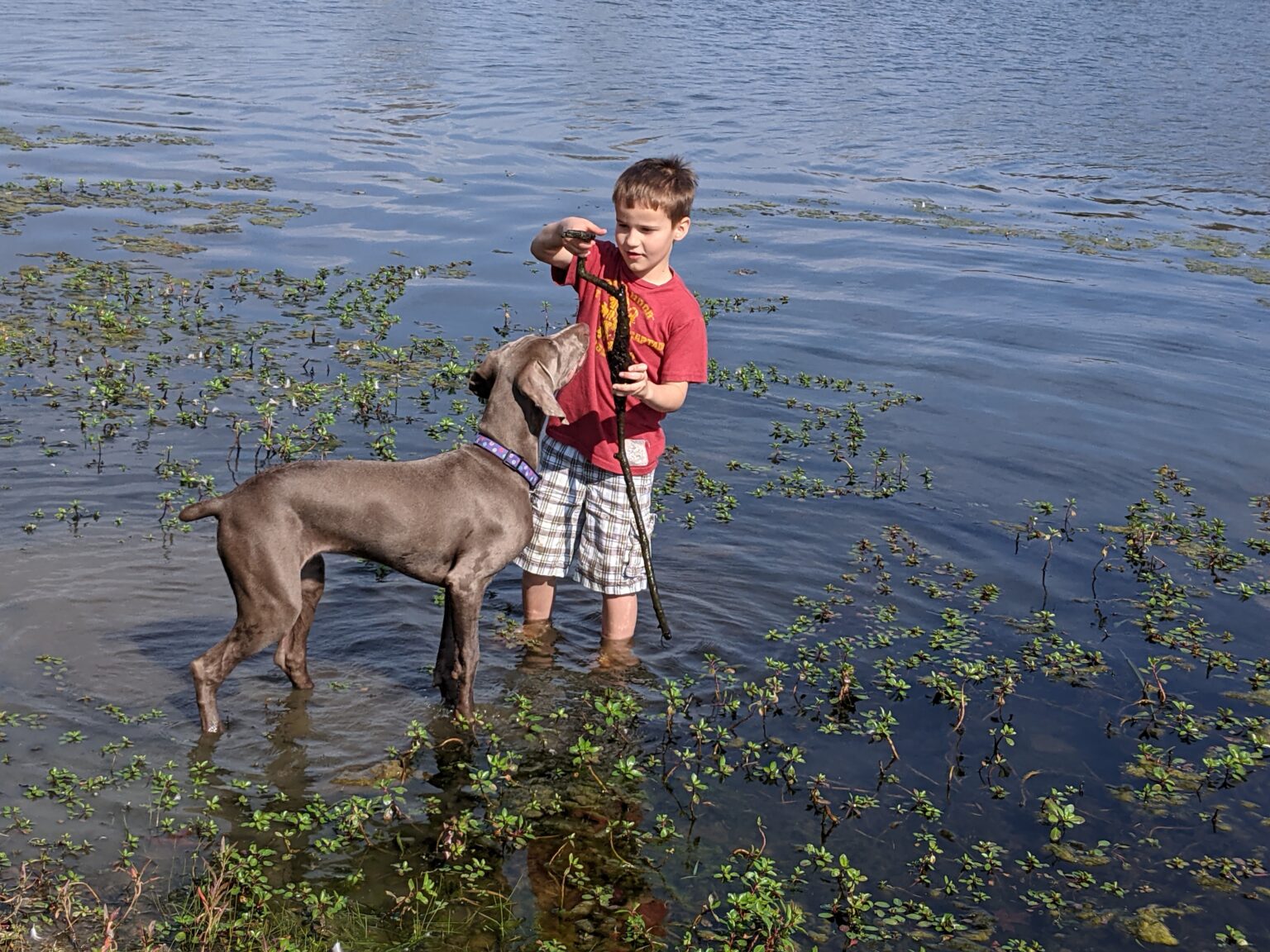 Heading Outdoors with the New Beautiful Feet Books Nature Study Program